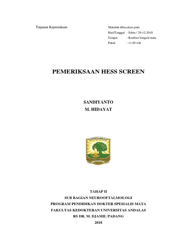 HESS SCREEN Sandi | PDF