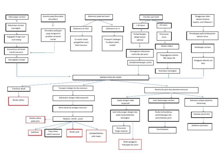 Woc Anemia Ibu Hamil | PDF