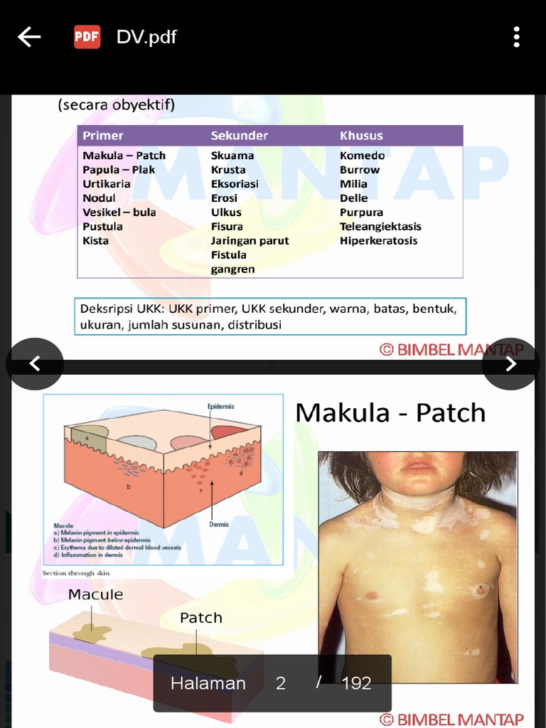 KULIT DAN PENYAKIT KULIT | PDF