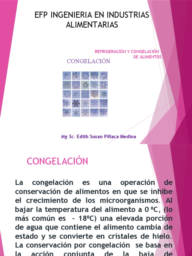 Procesos de refrigeración y congelación de alimentos: aspectos clave de ...