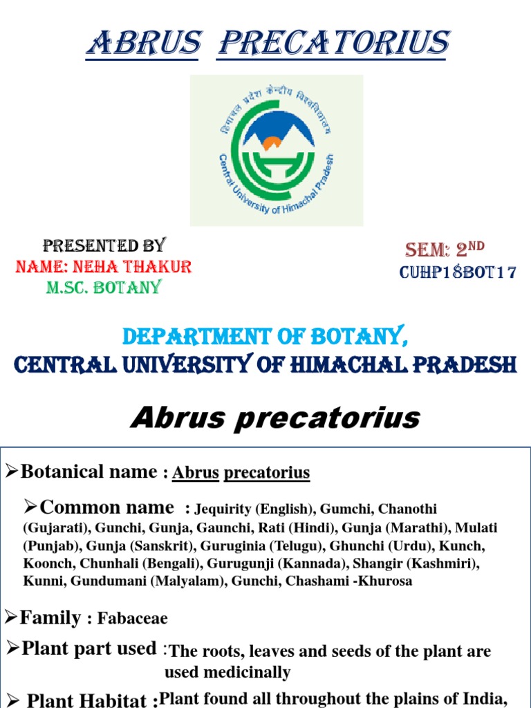 Abrus Precatorius | PDF | Botany | Horticulture And Gardening