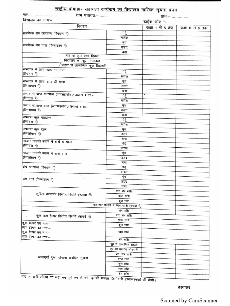 New MDM Format | PDF