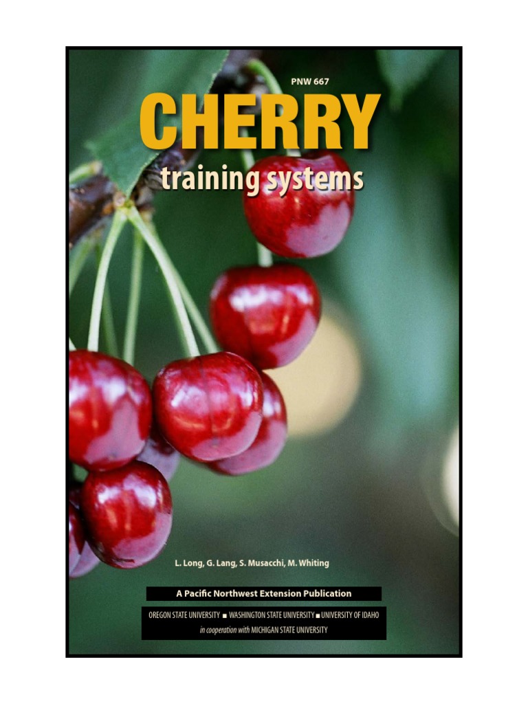 Cherry Training Guide PDF | PDF | Pruning | Trees