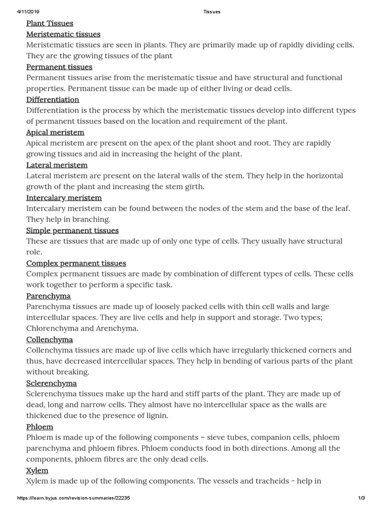 Tissues Notes | PDF | Tissue (Biology) | Epithelium