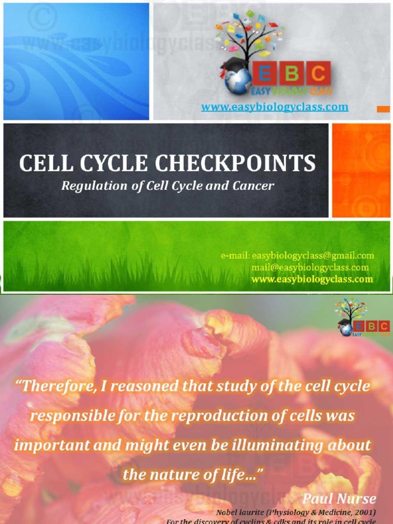Cell Cycle Checkpoints PPT by Easybiologyclass | PDF