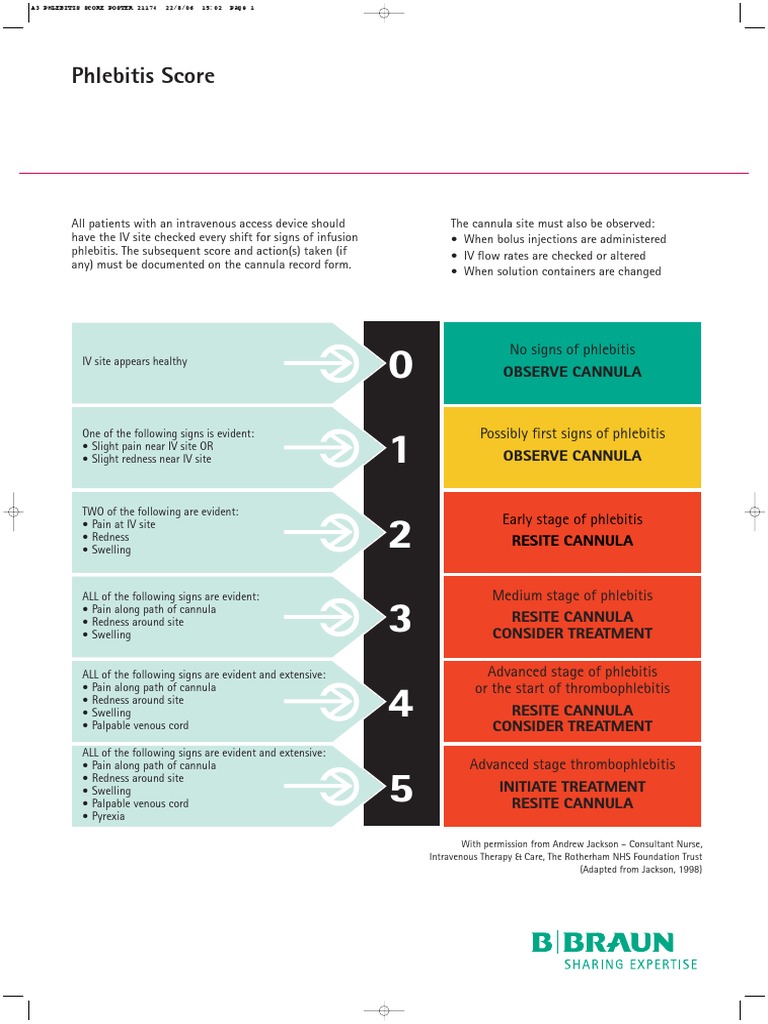 Phlebitis Score: Early Stage of Phlebitis Resite Cannula | PDF ...