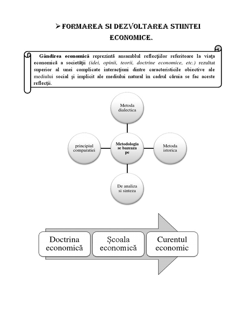 Lucru Individual Igie | PDF