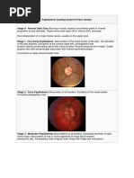 Ocular Fundus Drawing | PDF | Retina | Human Eye