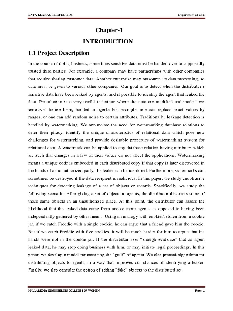 DATA LEAKAGE DETECTION-document | PDF | Specification (Technical Standard) | Object (Computer ...