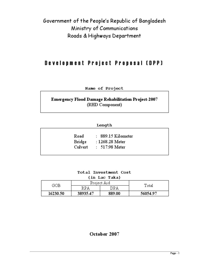 Development Project Proposal (DPP) | PDF | Employment | Internal Rate ...