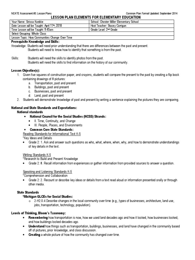 Lesson Plan Elements For Elementary Education | PDF | Differentiated ...