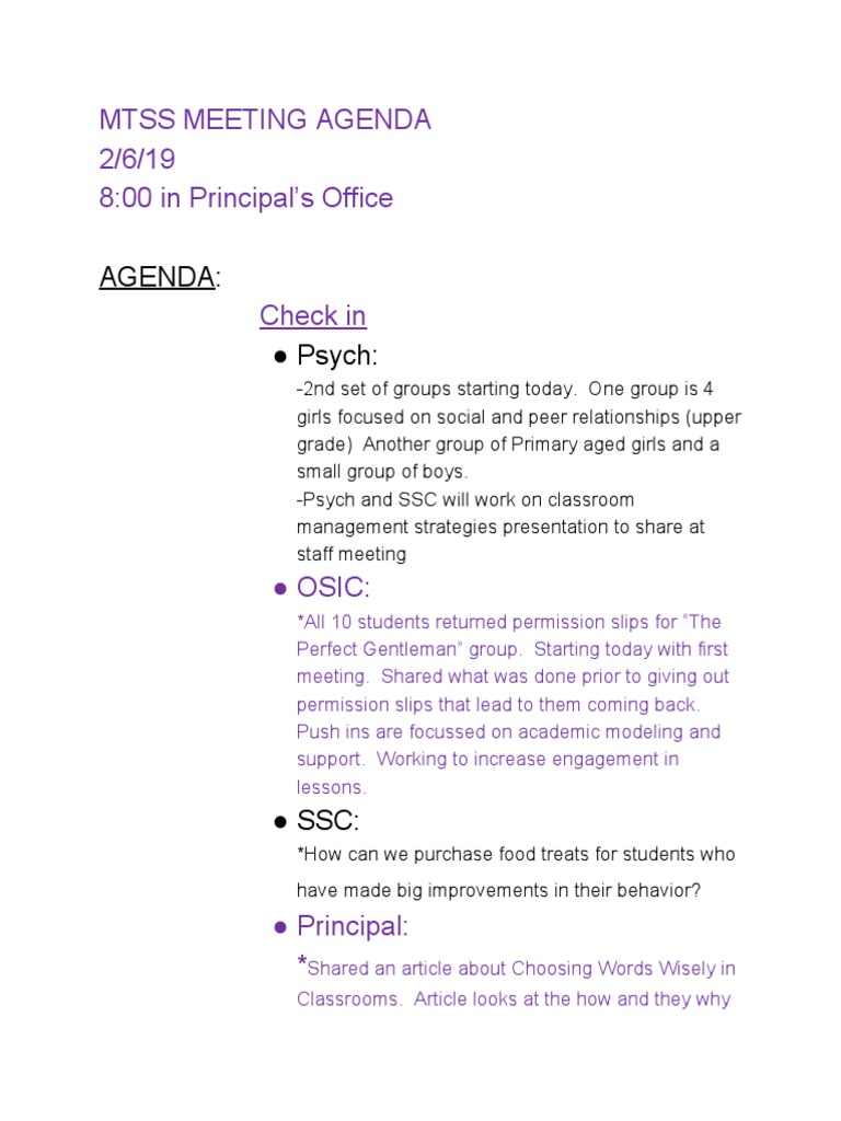 MTSS Meeting Agenda and Updates | PDF
