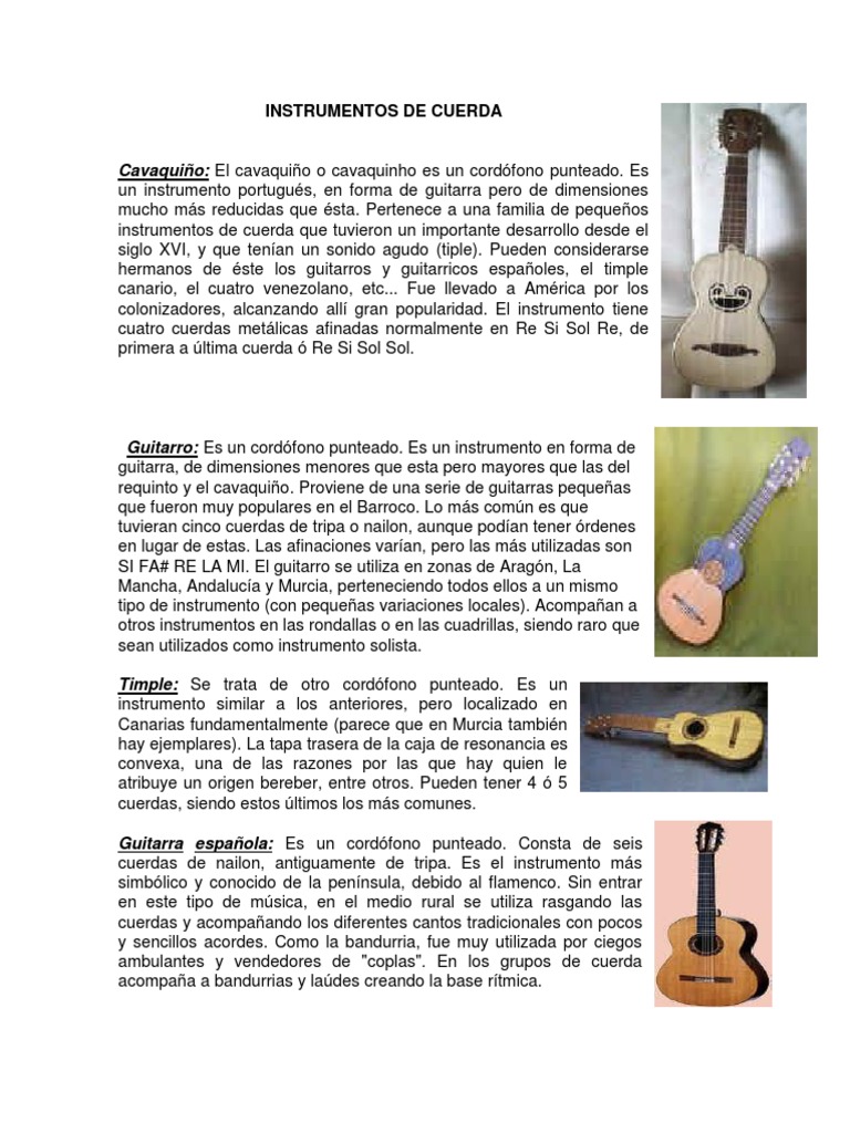 La Familia de Los Instrumentos, Cuerda, Cuerda Frotada, de Percusion ...