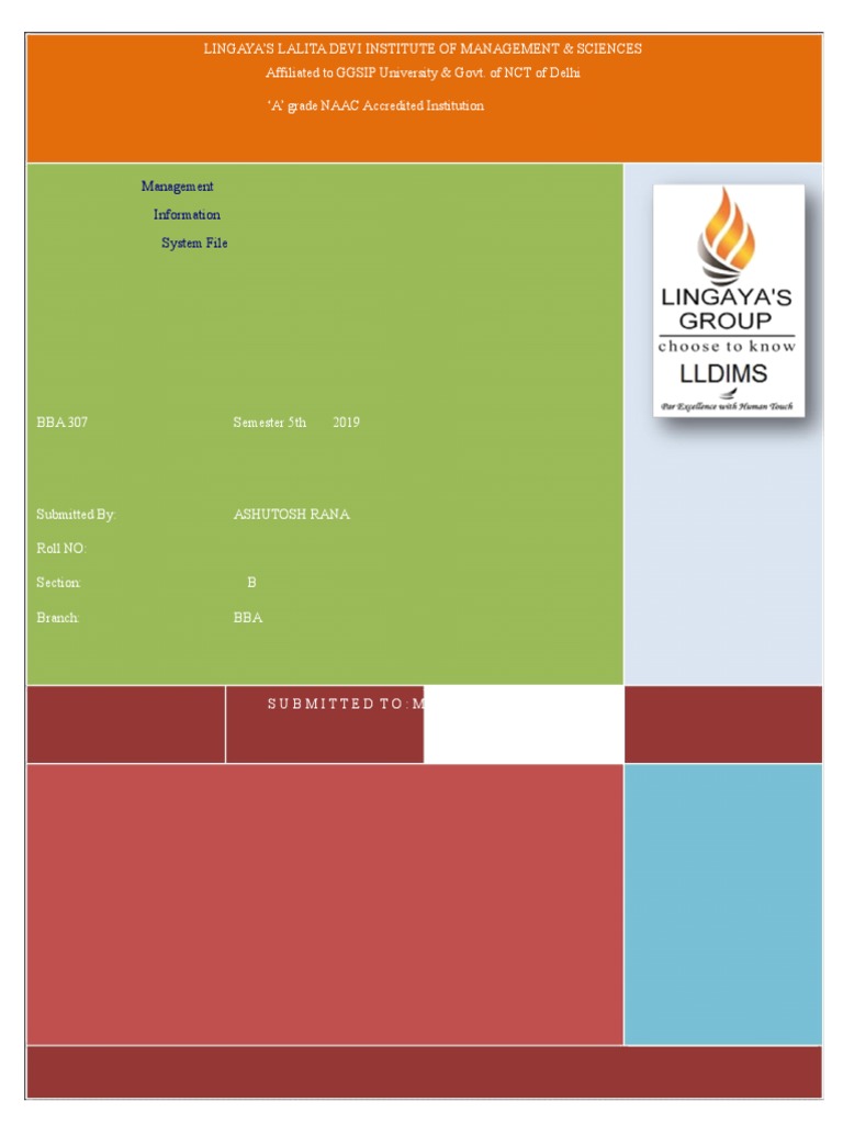 Mis Lab File Final Pdf Information System Decision Support System 