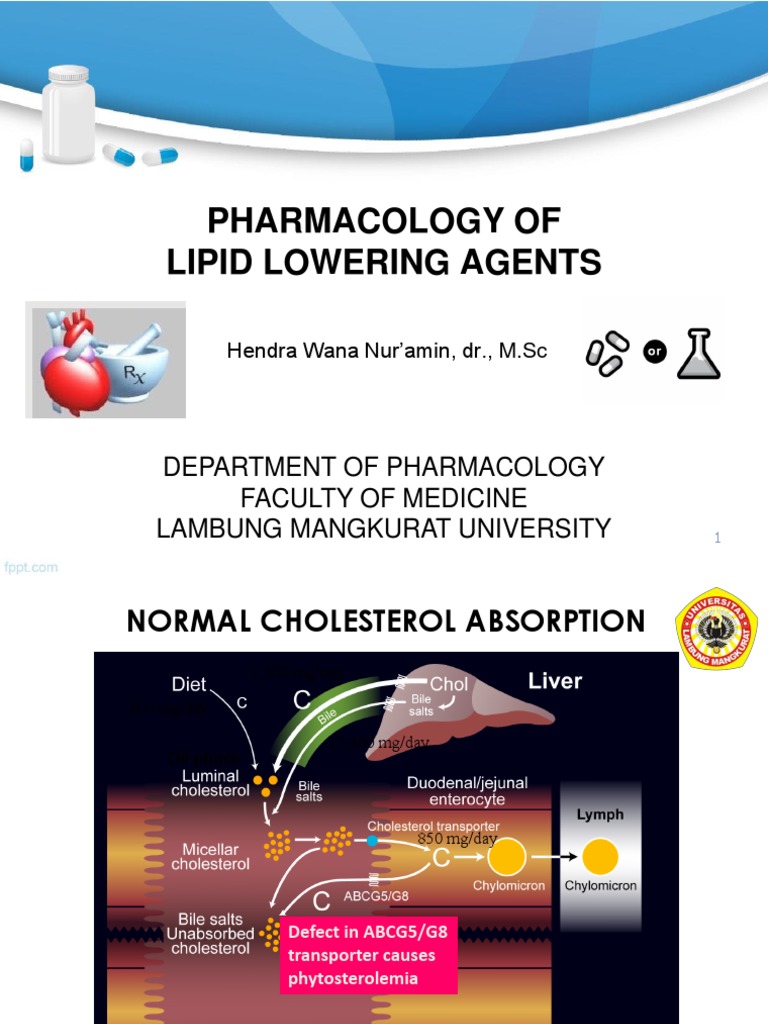Pharmacological Management of Dyslipidemia: A Comprehensive Review of ...