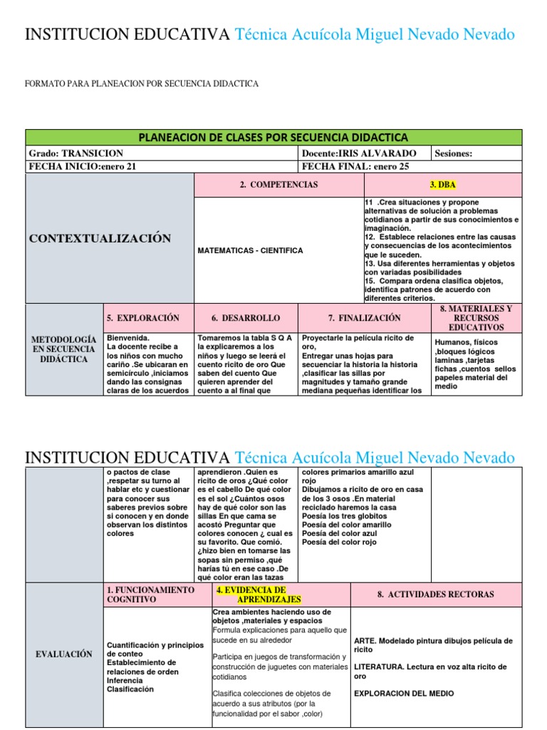 Formato para Planeacion Por Secuencia Didactica en Blanco | PDF | Color | Maestros