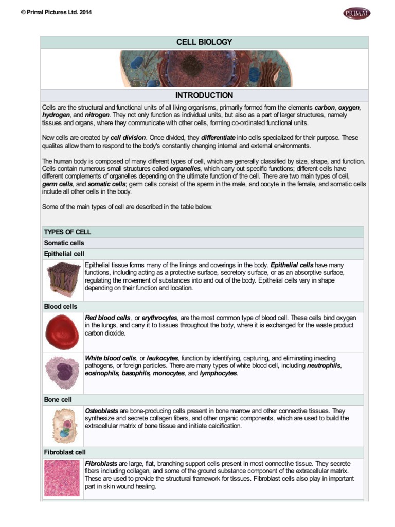 1 Cell Biology Introduction | PDF | Human Body | White Blood Cell