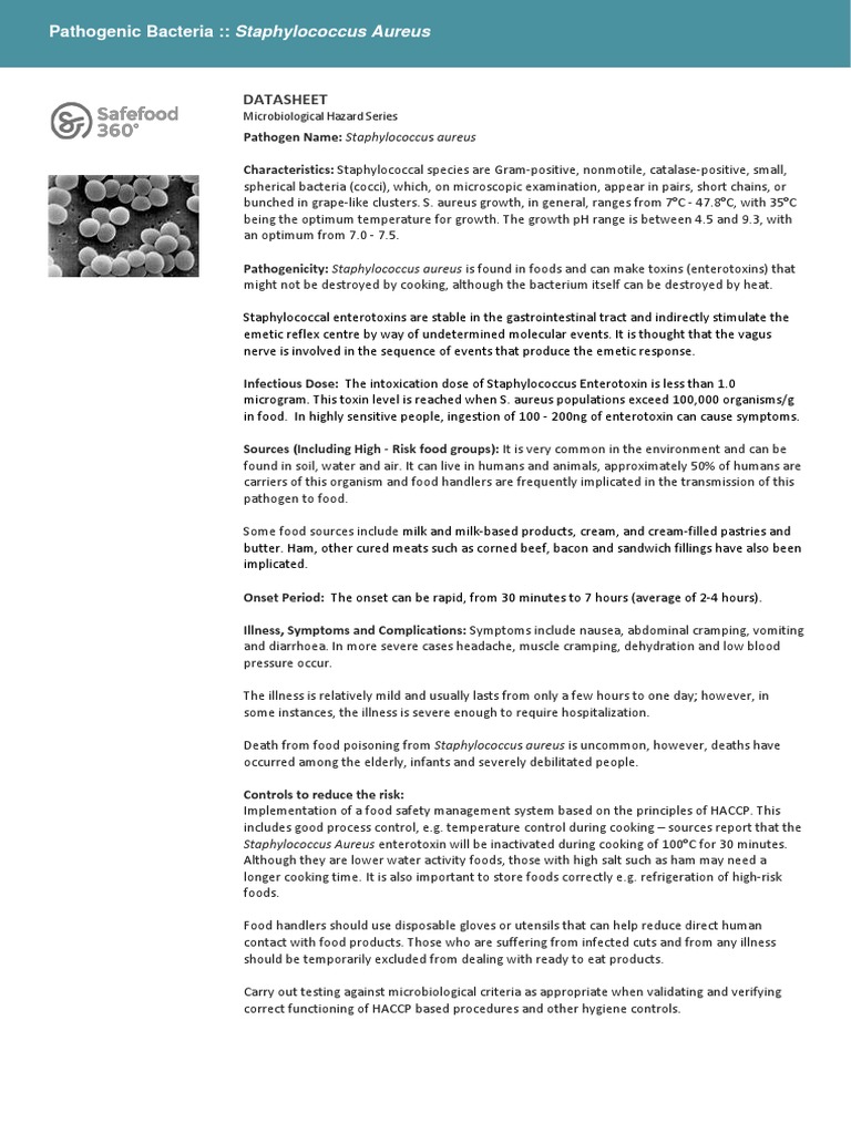 Datasheet: Pathogenic Bacteria:: Staphylococcus Aureus | PDF | Staphylococcus | Foodborne Illness