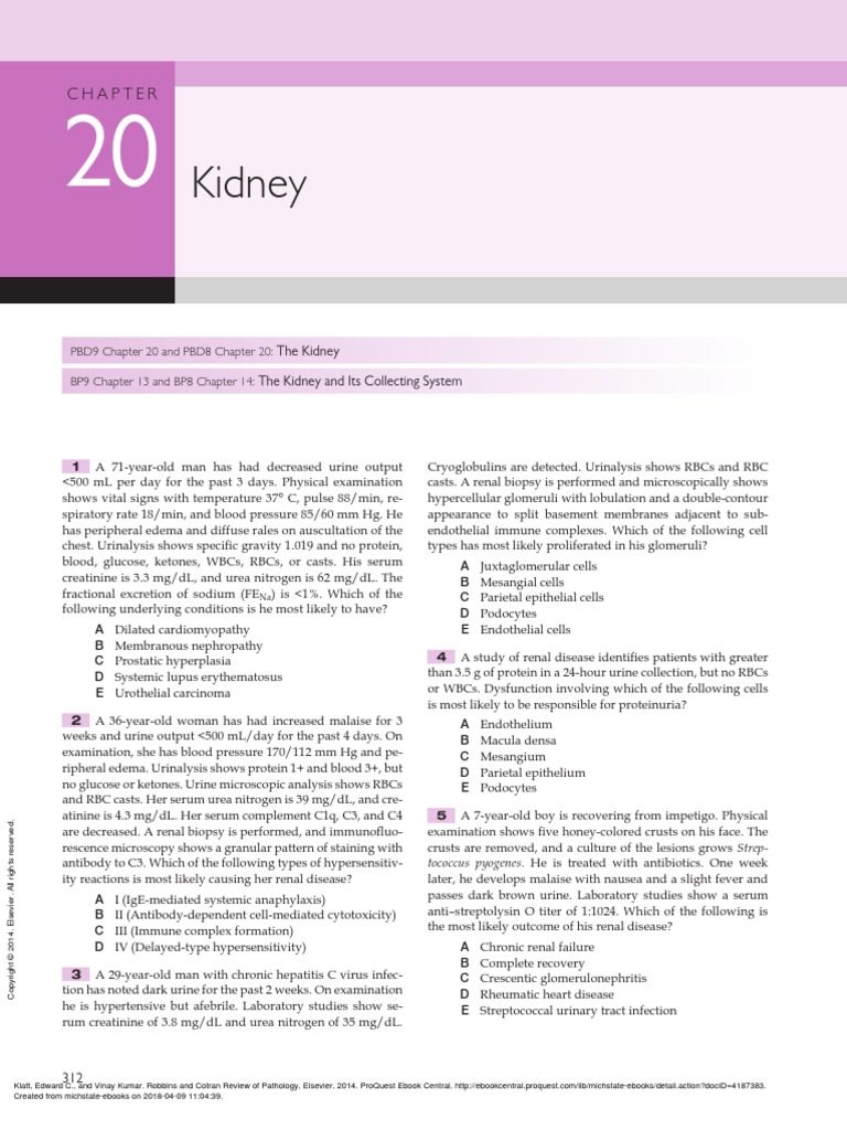 Rass & Paw Renal Practice | PDF | Kidney | Kidney Disease