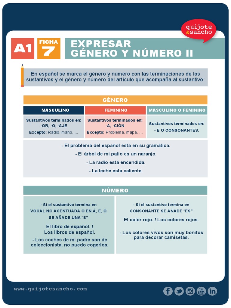 Género y Número en Español: Guía A1 | PDF | Semiótica | Idiomas
