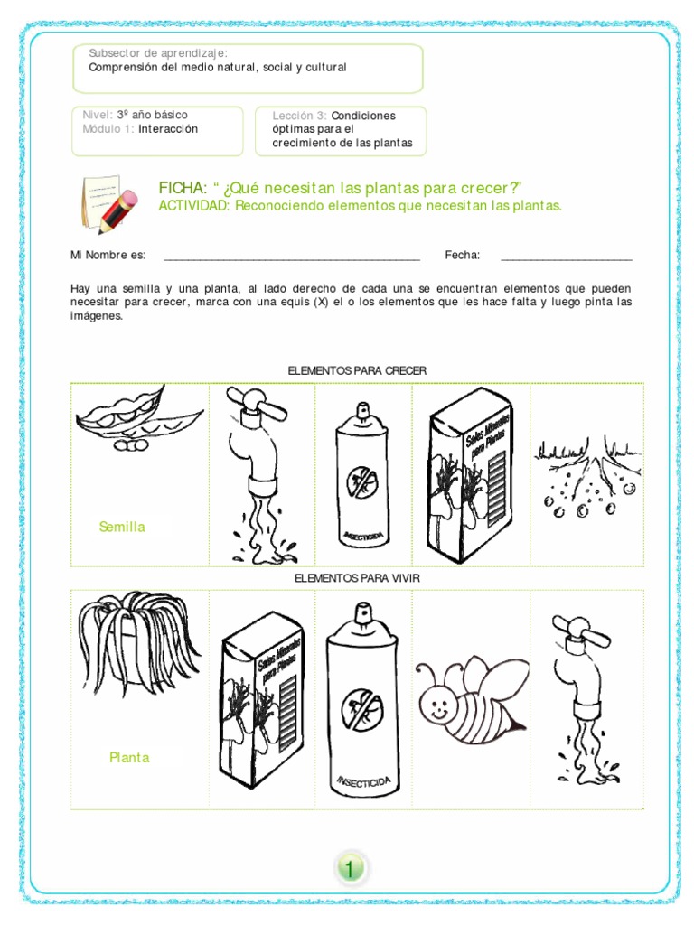 Ficha:: “¿Qué necesitan las plantas para crecer?”