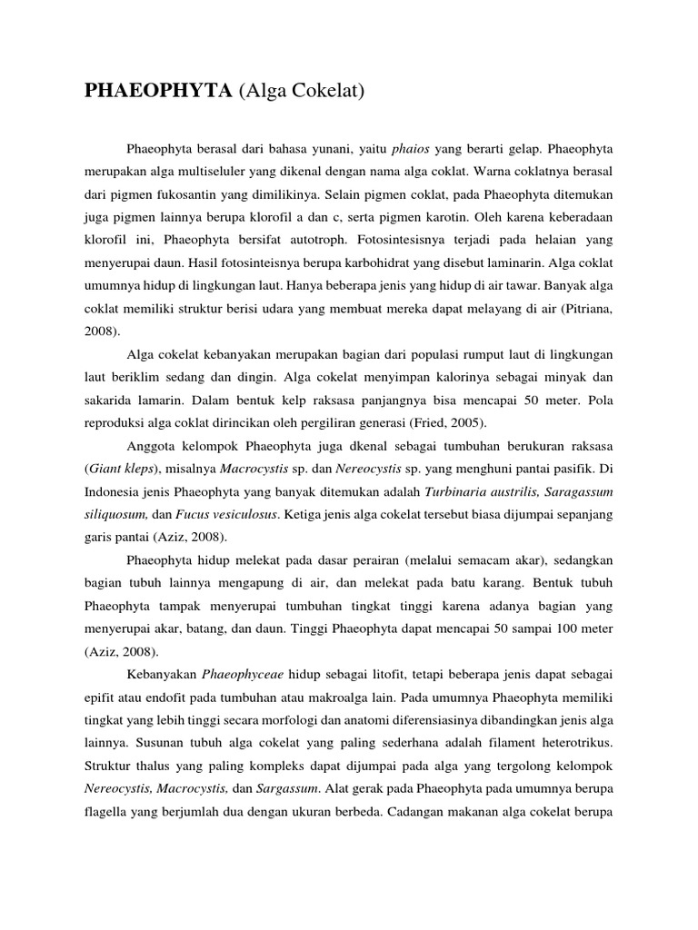 Jenis dan Karakteristik Phaeophyta | PDF