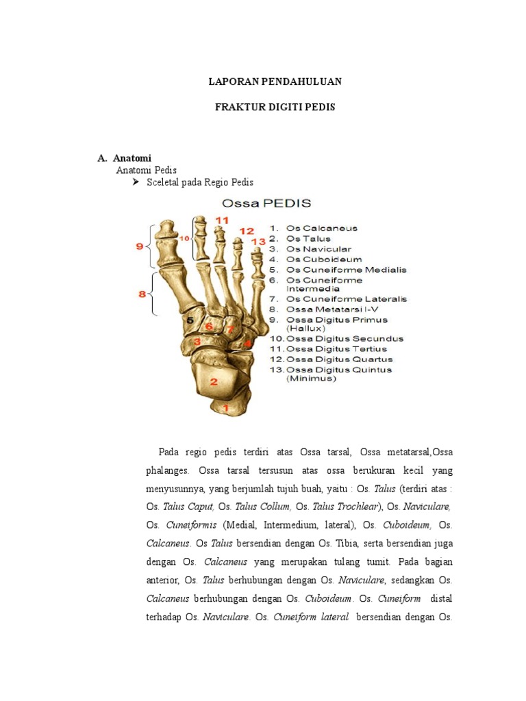 LP Fraktur Digiti | PDF