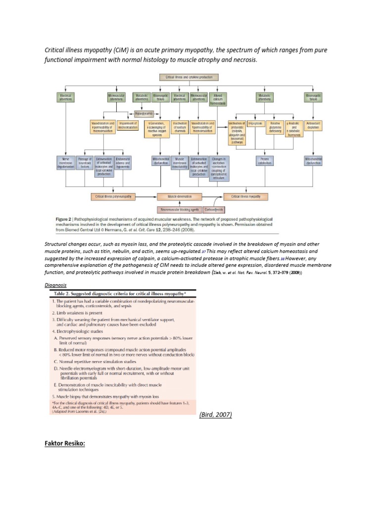 Critical Illness Myopathy (Cim) Is An Acute Primary Myopathy, The ...