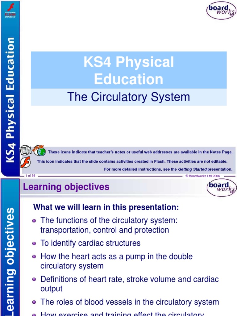 KS4 Physical Education: The Circulatory System | PDF | Heart ...