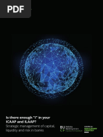 ECB clarification on ICAAPs and ILAAPs | PDF | Risk | European Central Bank