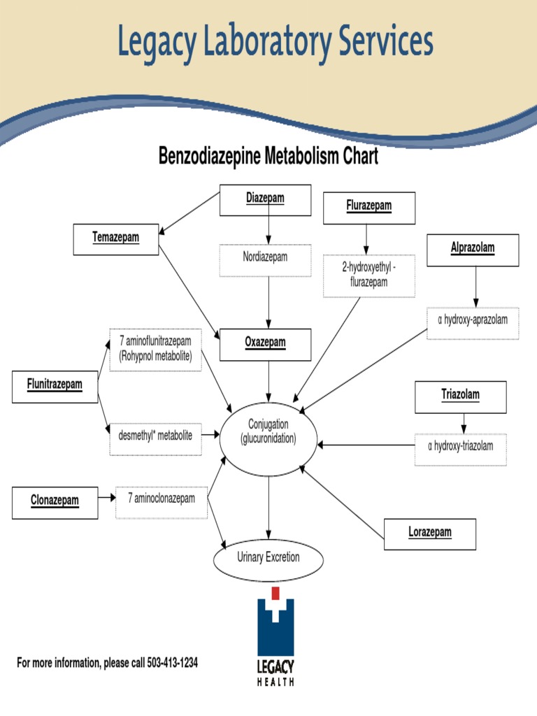 Benzodiazepine Metabolism Chart: Diazepam Flurazepam | PDF