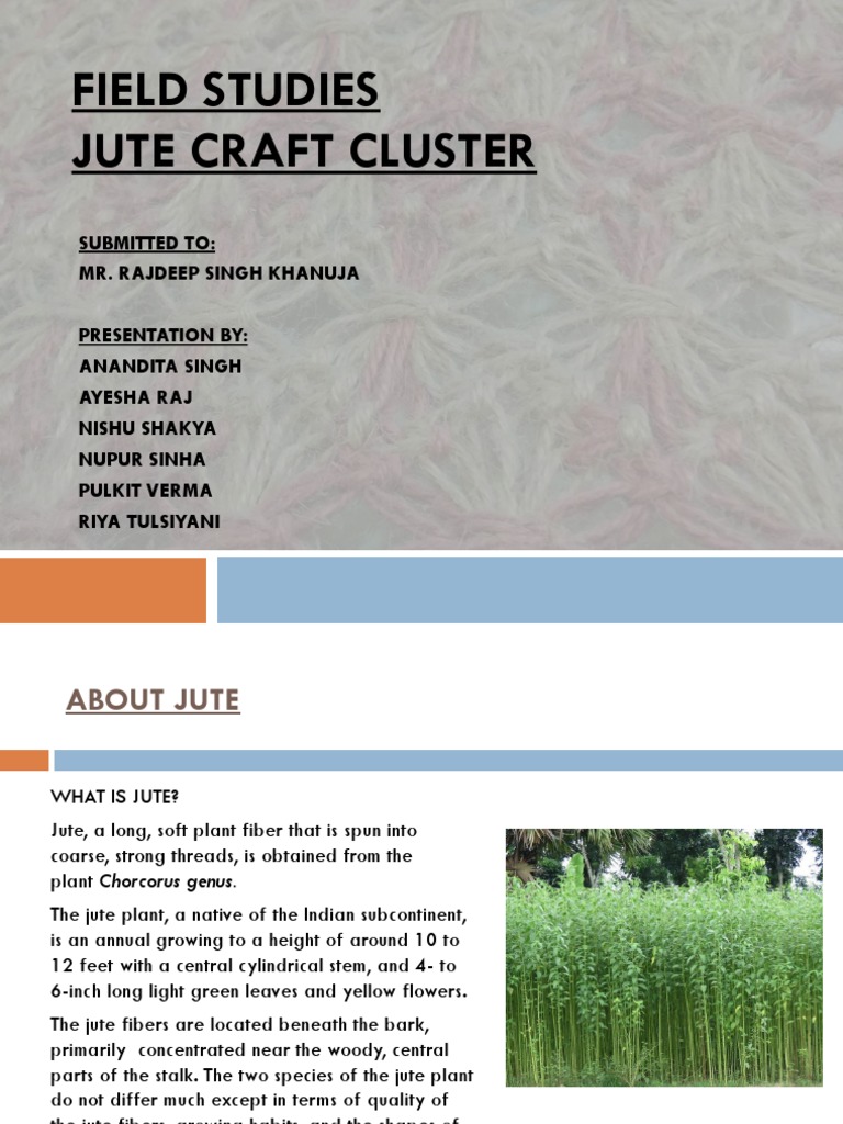Jute Cluster | PDF | Jute | Spinning (Textiles)