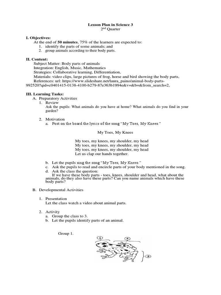 Body Parts of Animals: A Lesson Plan for Identifying and Grouping ...