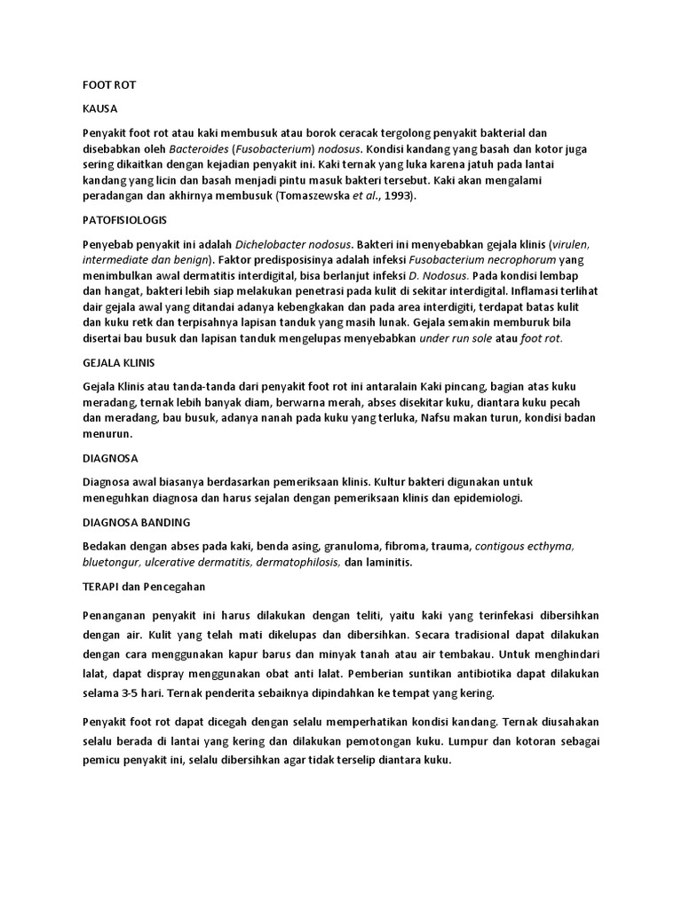 Penyakit Foot Rot pada Sapi | PDF