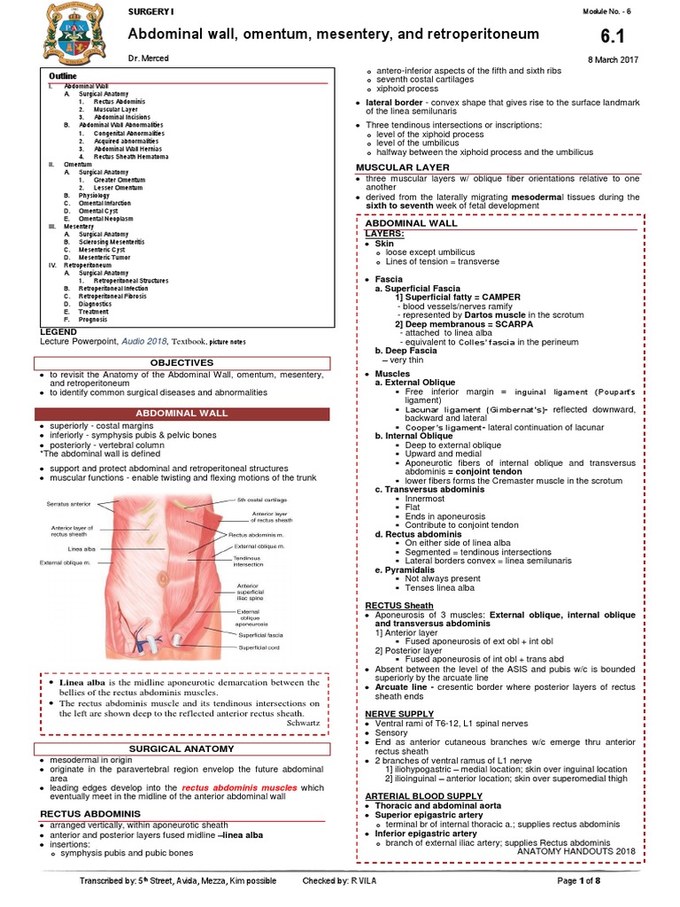 Anatomy and Common Diseases of the Abdominal Wall, Omentum, Mesentery ...