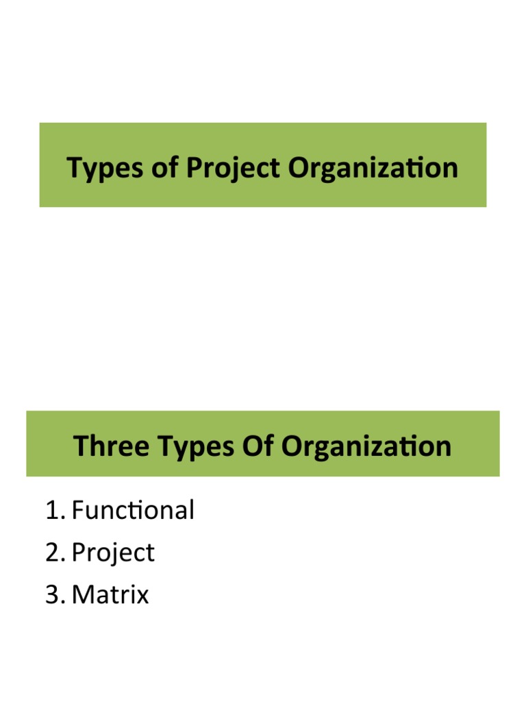 Types of Project Organization Explained | PDF | Economies | Cognition