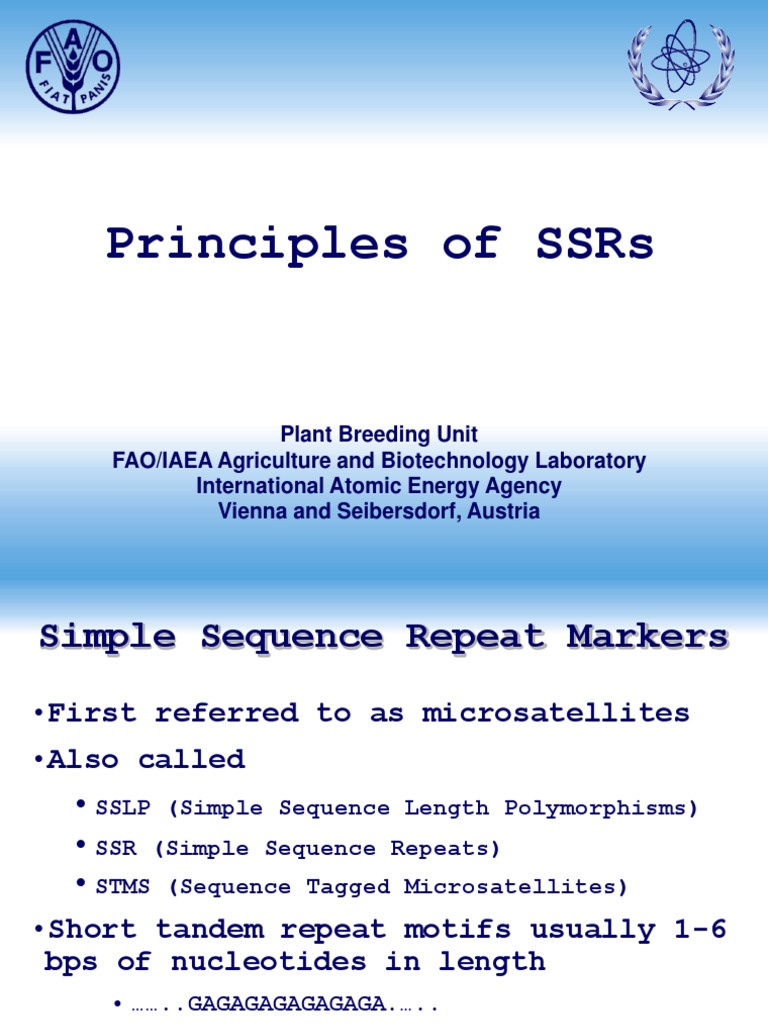 SSR Markers | PDF | Microsatellite | Genetic Marker