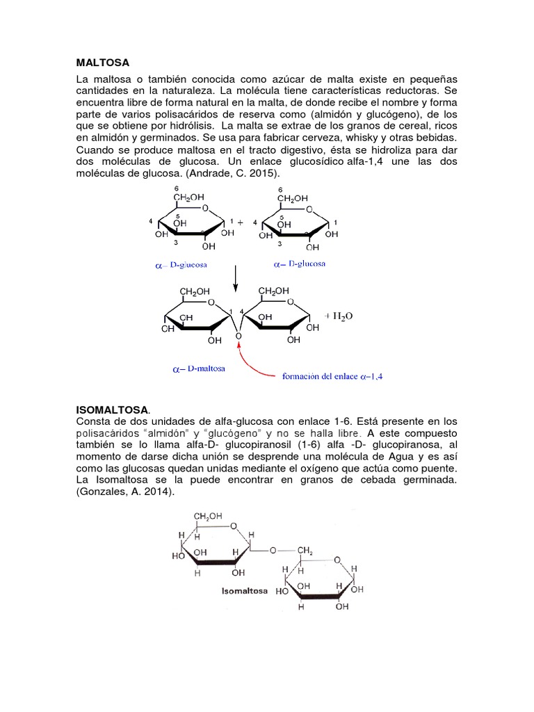 Maltosa | PDF