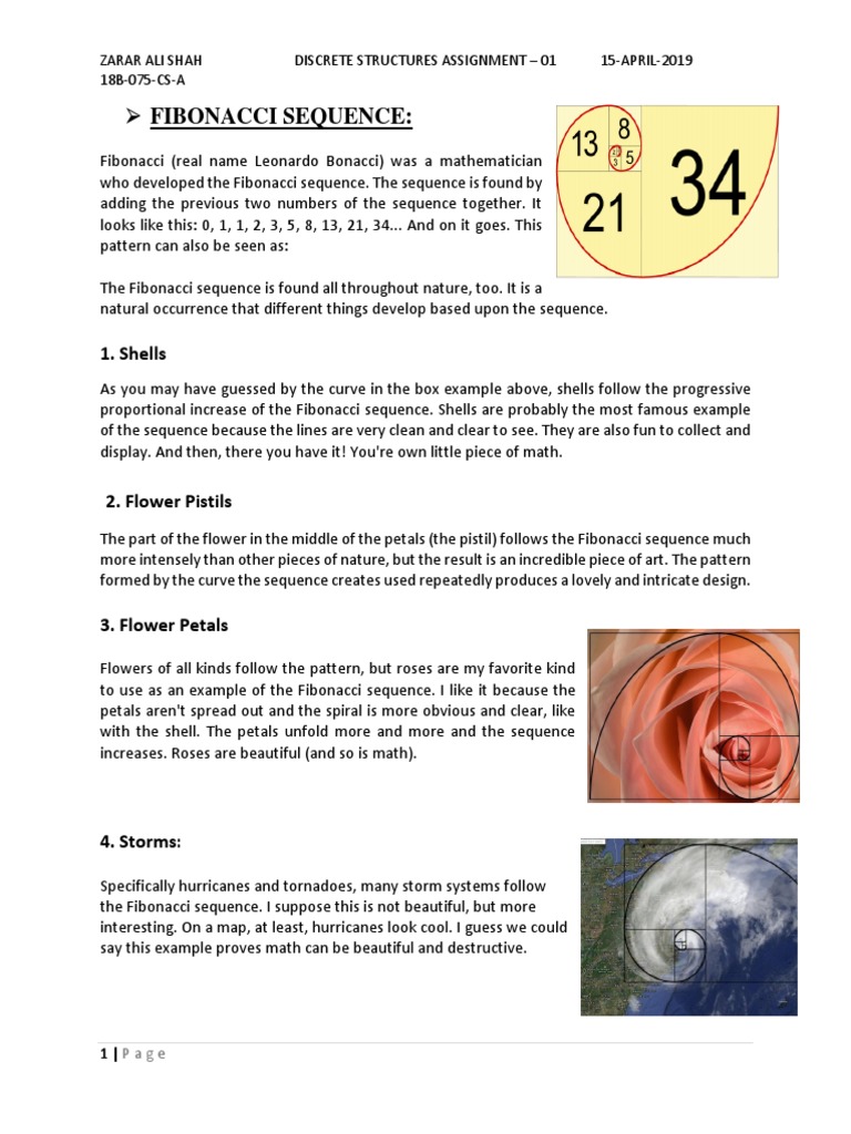 Fibonacci Sequence and Golden Ratio in Nature | PDF | Ratio | Numbers