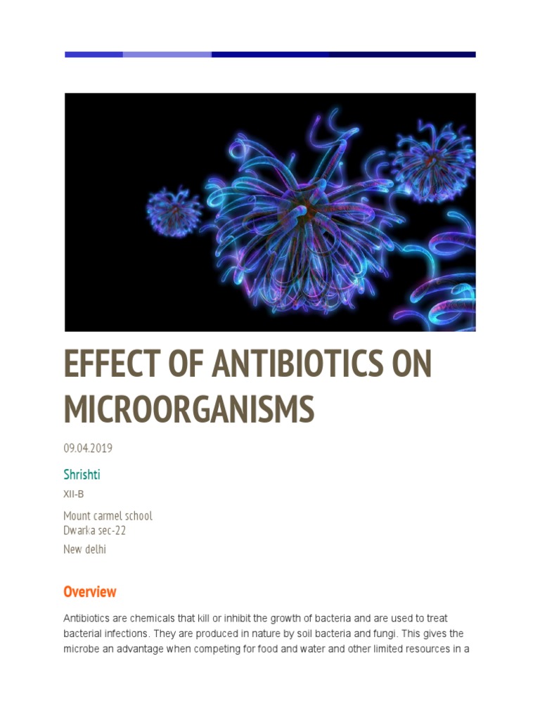Biology 12 Project PDF | PDF | Antimicrobial Resistance | Bacteria
