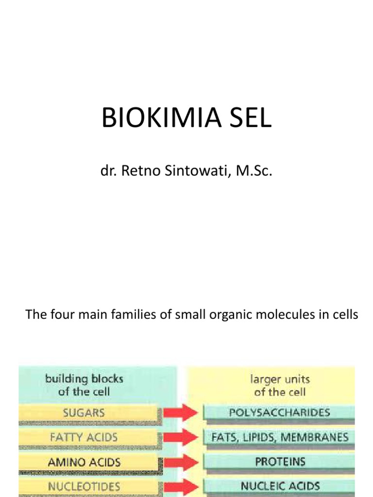 Biokimia Sel 2018 | PDF | Biosynthesis | Metabolism