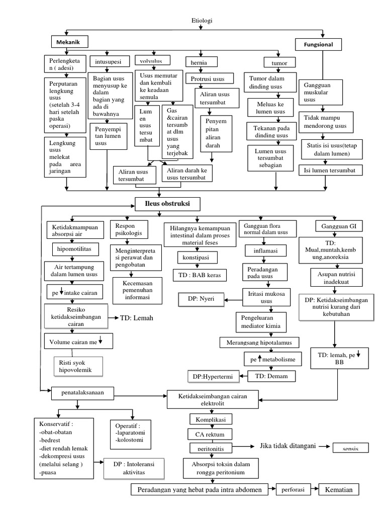 Pathway Ileus | PDF