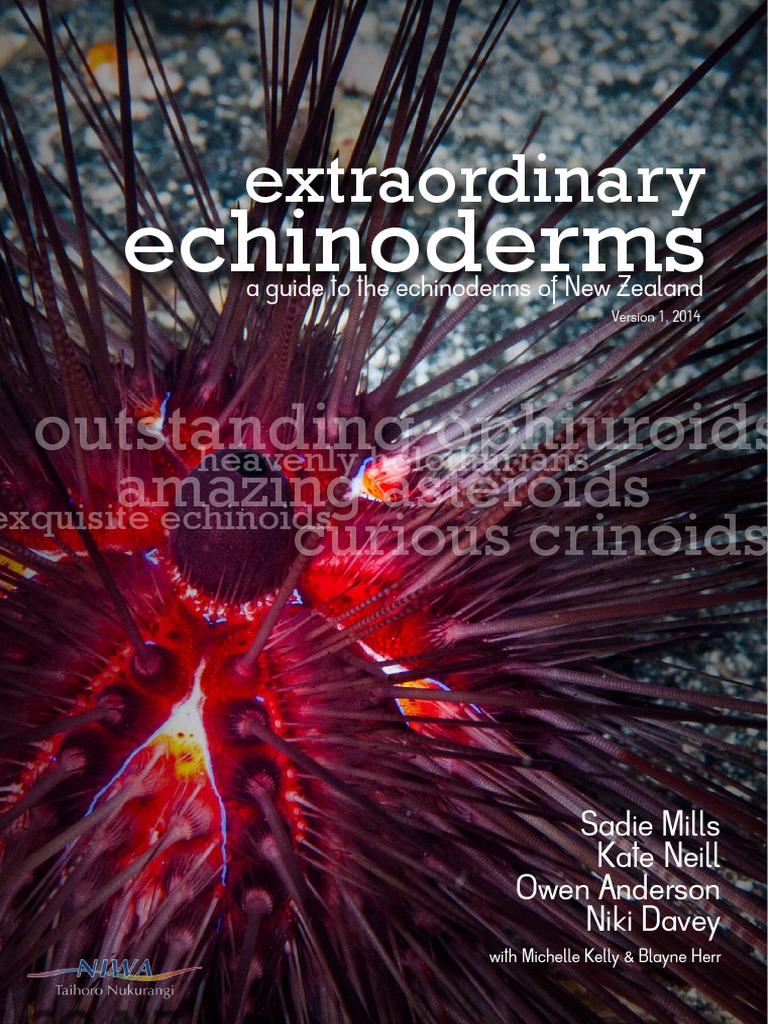 Extraordinary Echinoderms PDF | PDF | Organisms | Nature