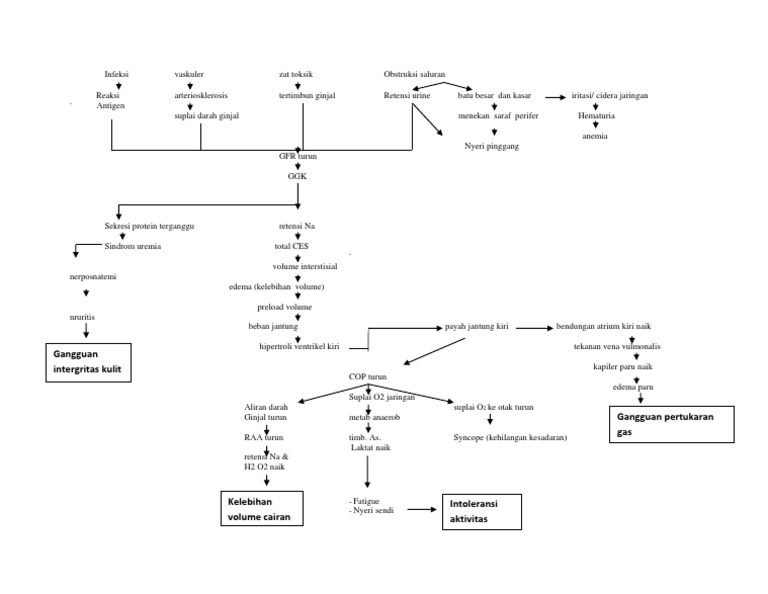Pathway CKD | PDF | Medical Specialties | Symptoms And Signs