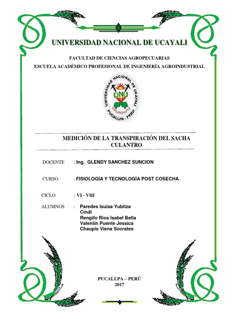 Sacha Culantro | PDF | Cilantro | Plantas