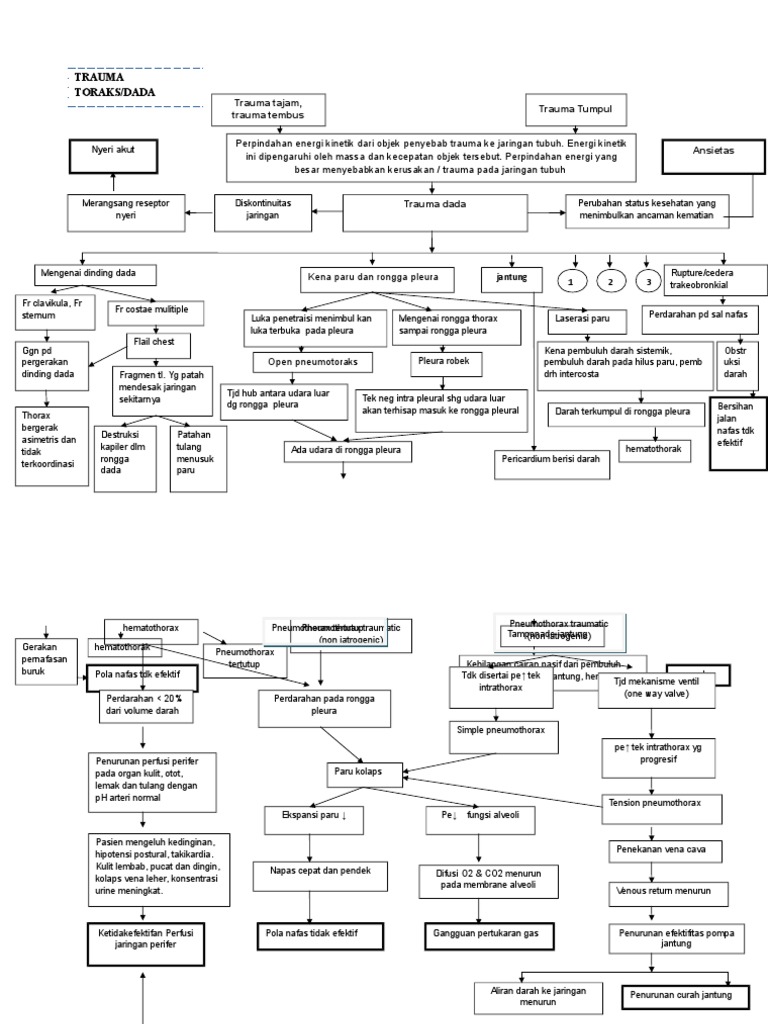 WOC Trauma Dada | PDF