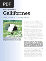 Agricultural Science Sba On Broiler | PDF | Chicken | Poultry Farming