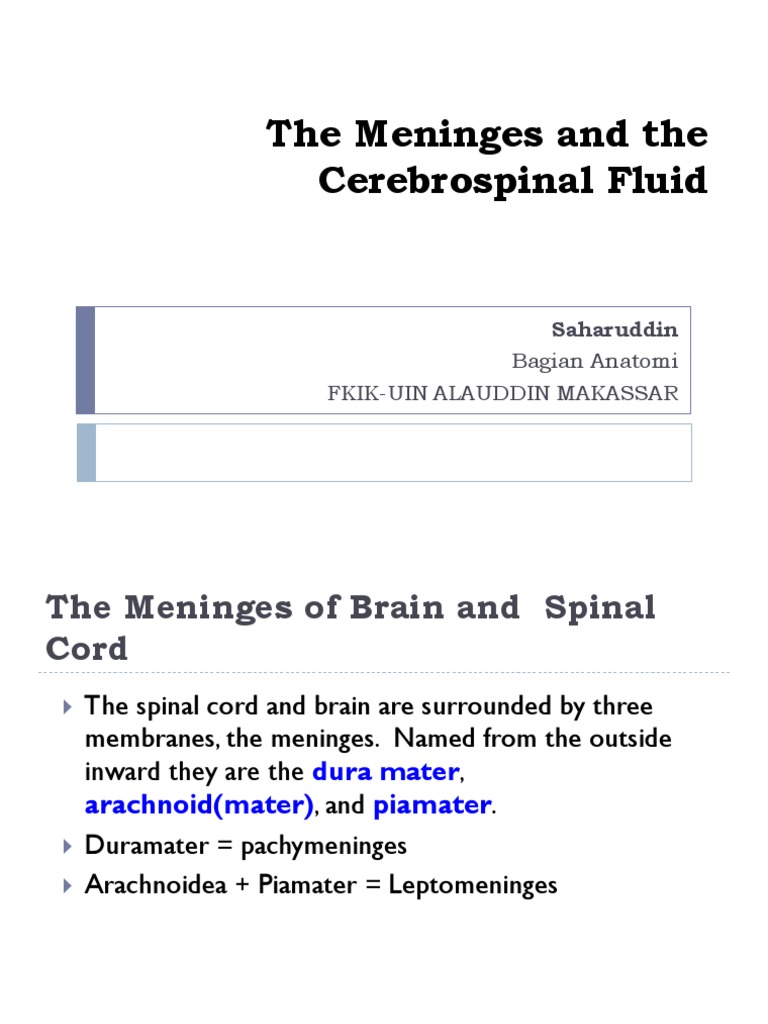 The Meninges and The Cerebrospinal Fluid: Bagian Anatomi Fkik-Uin Alauddin Makassar | PDF ...
