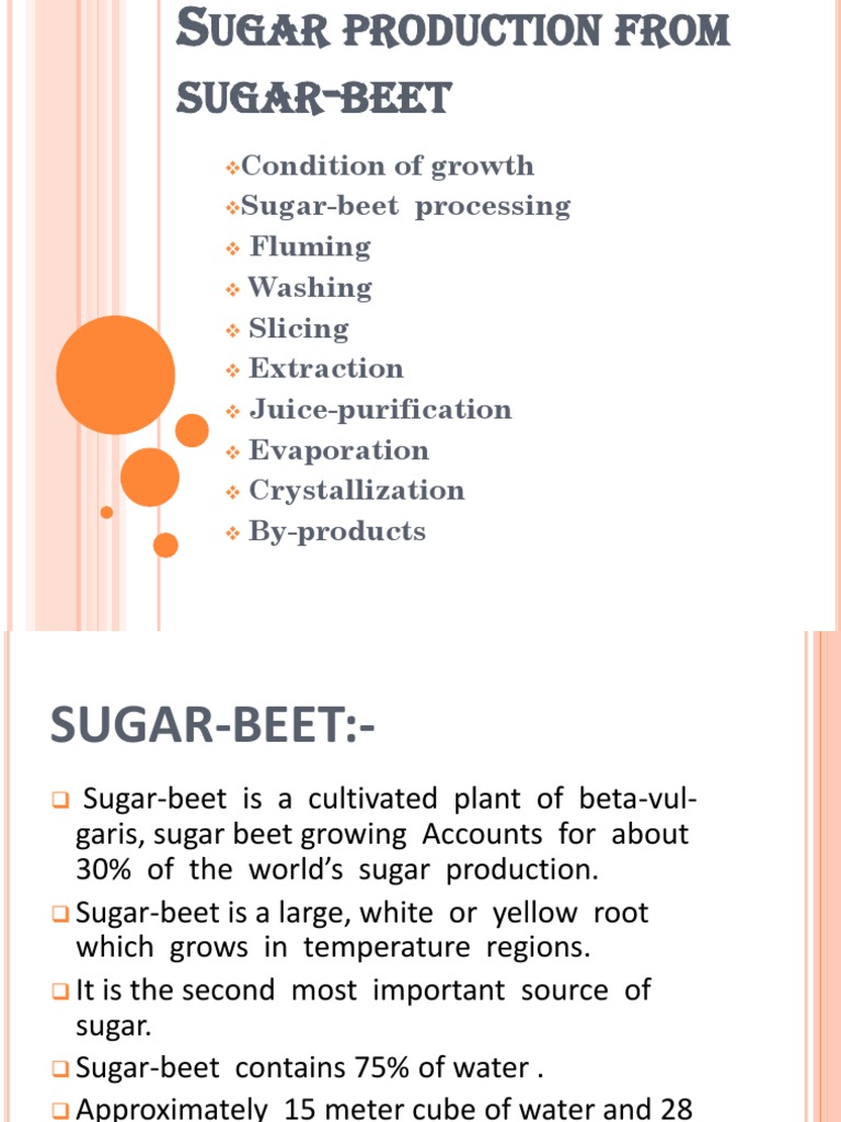 Sugar Beet | PDF | Sugar Beet | Molasses