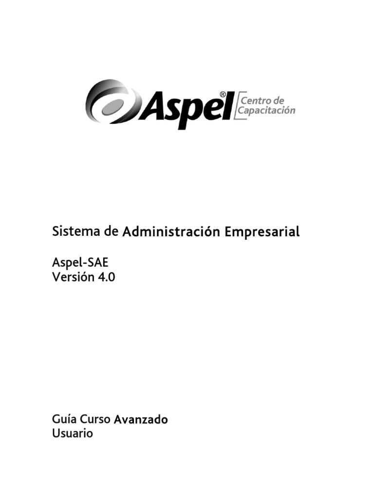 SAE4 0GuiaCursoAvanzado | PDF | Inventario | Inflación
